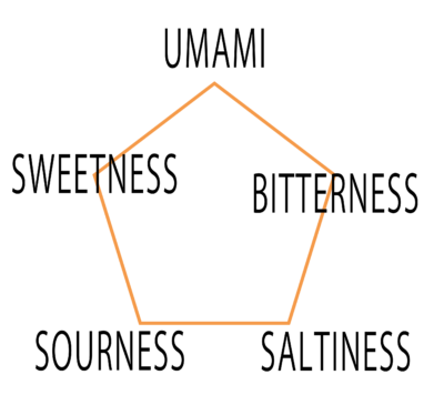 Blog | Menopause Relief, Osteoporosis Relief, Anti Aging Natural Solutions