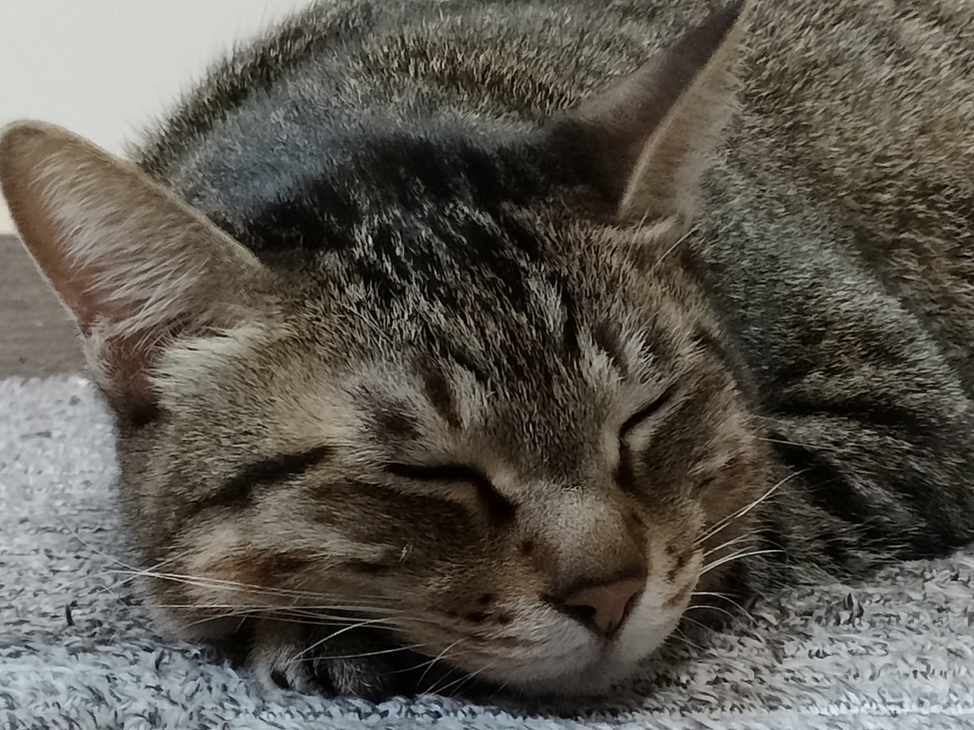 Sleep and bone health - Menopause & Osteoporosis Solutions with ...