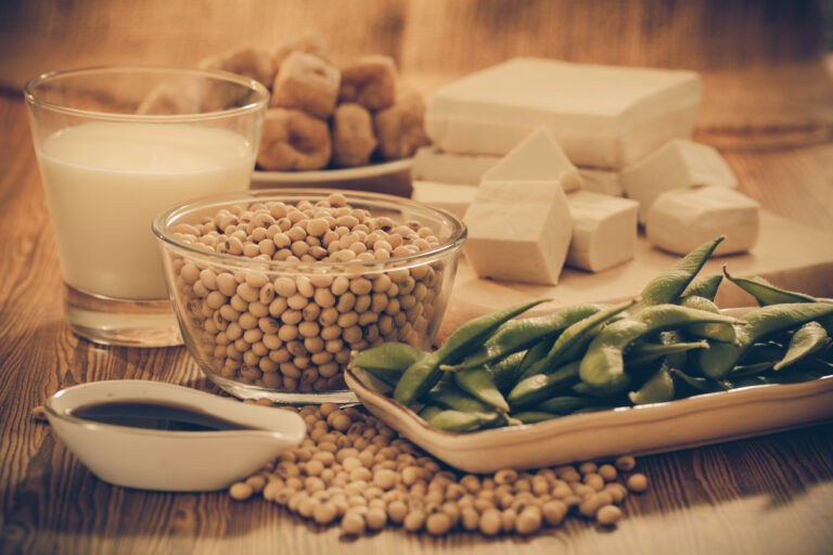 The Powerful Role of Protein in Soybeans - Menopause & Osteoporosis ...
